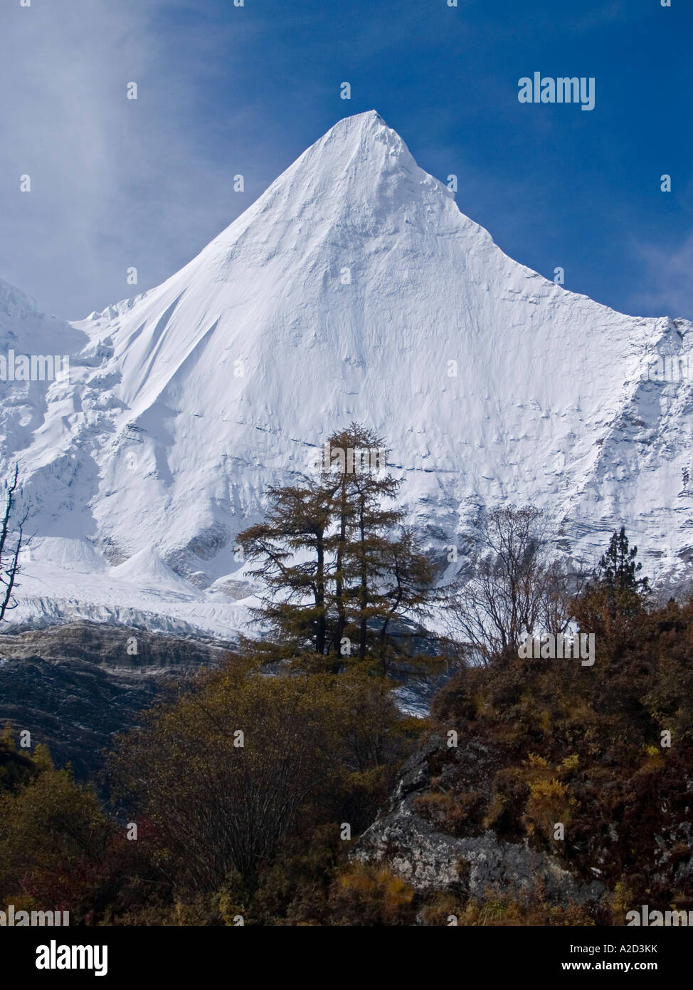the mighty peak of Yanmaiyang towers over trees in Yading National Park ...