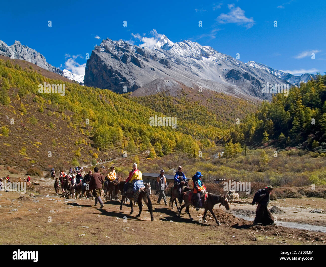 horse trekking Yading National Park China Stock Photo - Alamy