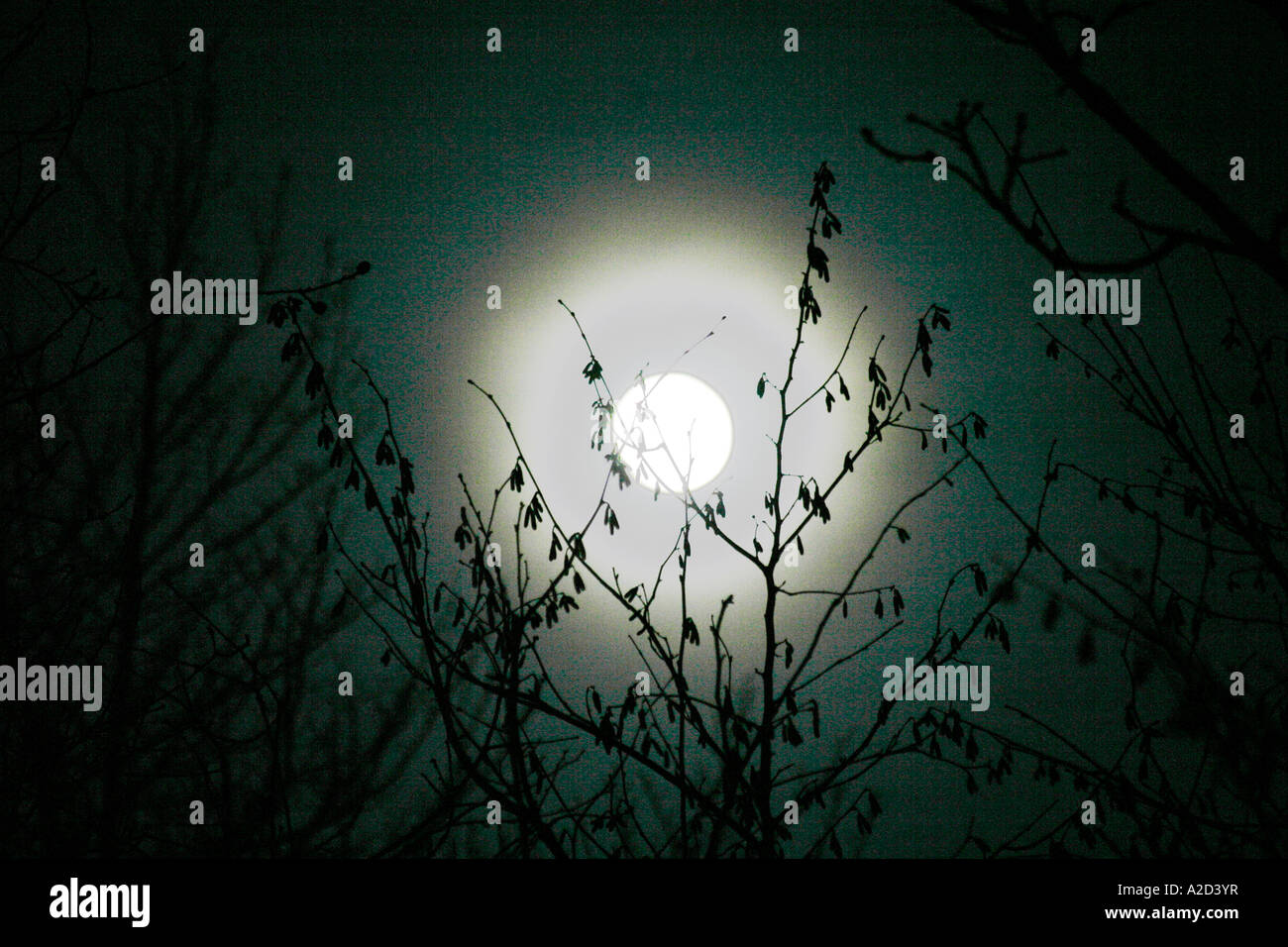 Full moon on january night hi-res stock photography and images - Alamy