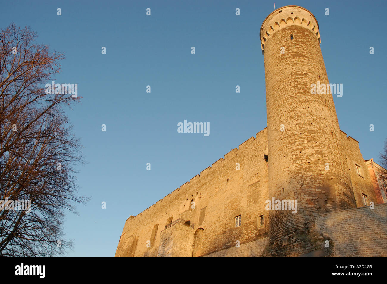 Pikk Hermann Tower Toompea Castle parliament building Stock Photo - Alamy