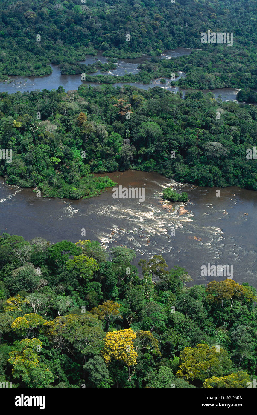 Amazon rainforest canopy bloom hi-res stock photography and images - Alamy