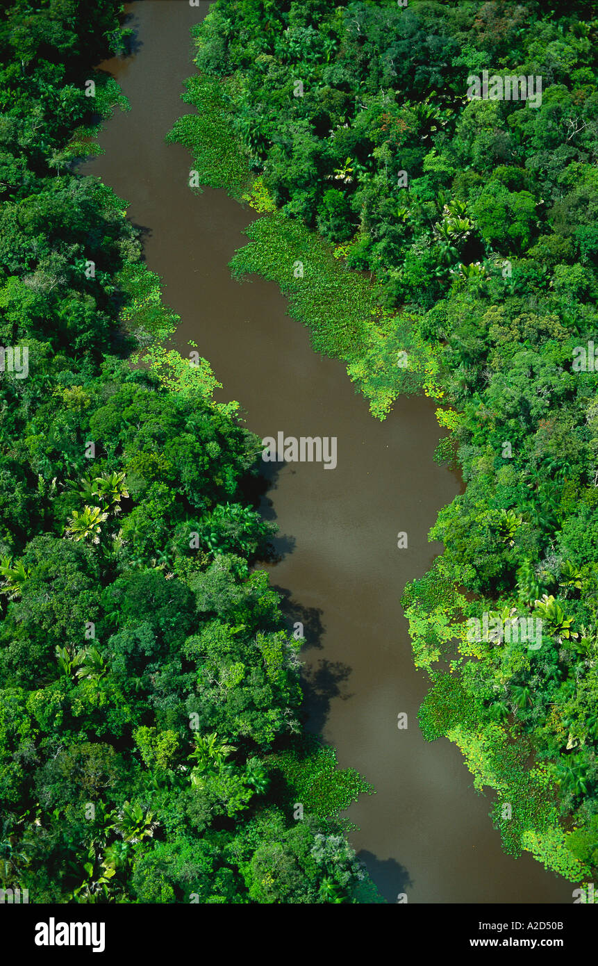 Amazon river floodplain aerial hi-res stock photography and images - Alamy