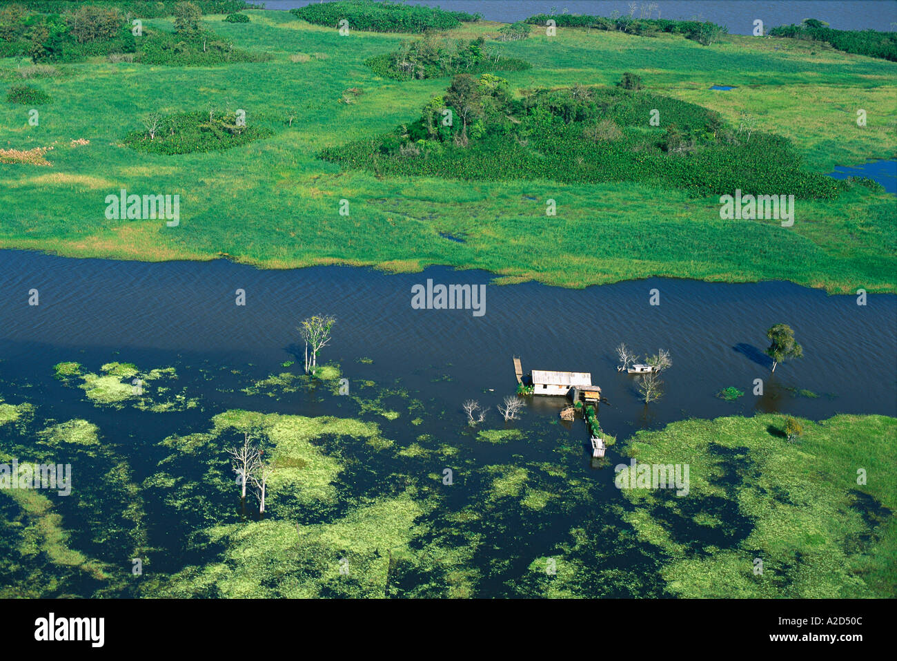 Aerial view of flooded houses in lower Amazon floodplain during high ...