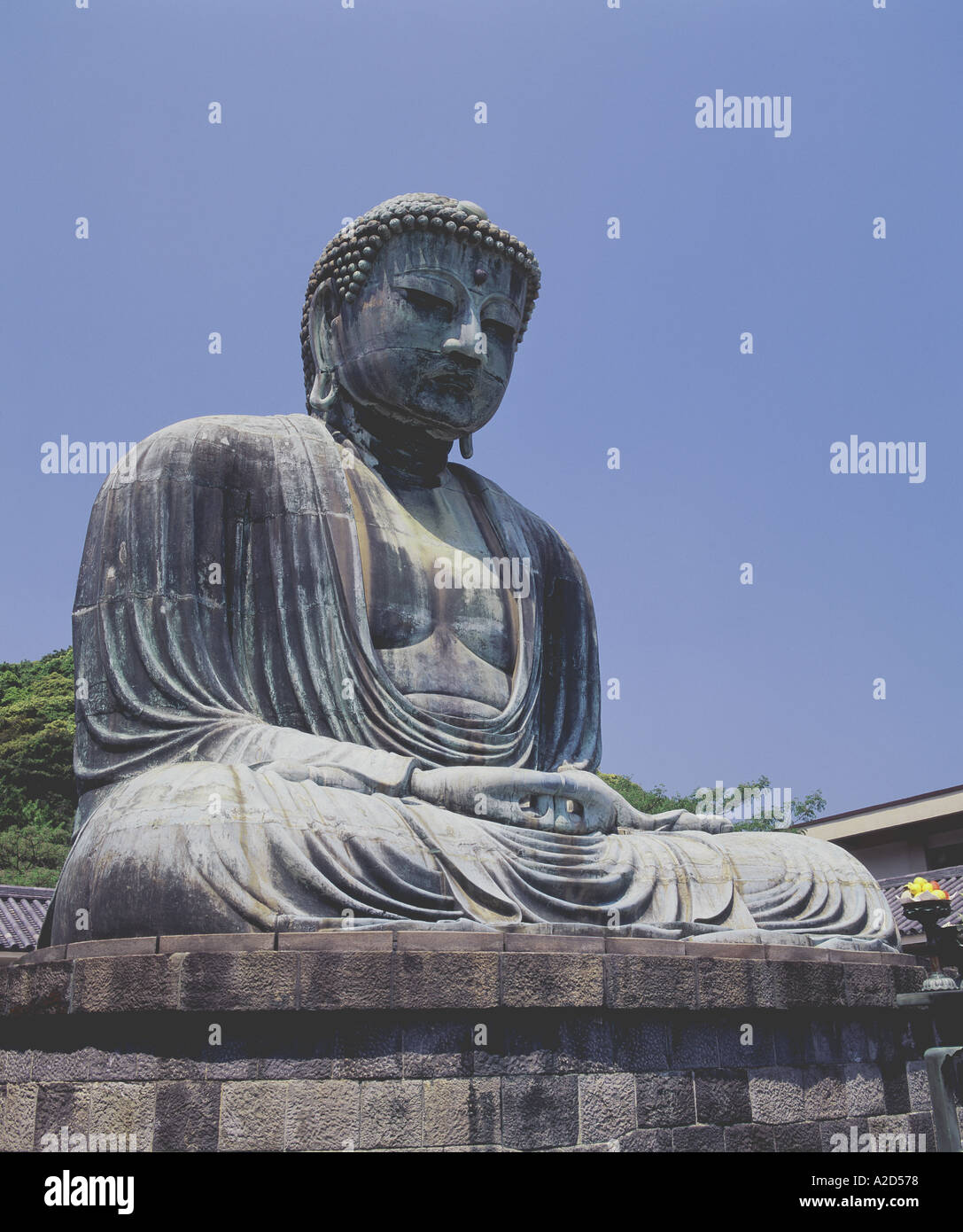 The Daibutsu Great Buddha at Kamakura near Tokyo Japan Stock Photo - Alamy