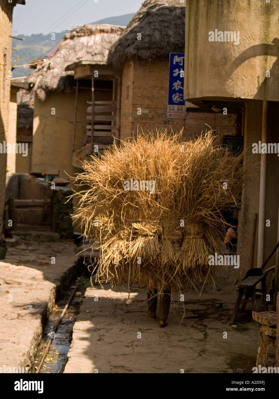 man carrying rice straw through traditional village Quinkou China Stock ...