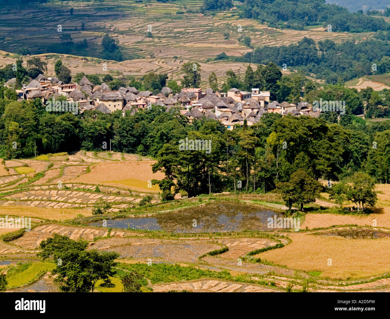 Quinkou village traditional Hani minority village Yuanyang China Stock ...