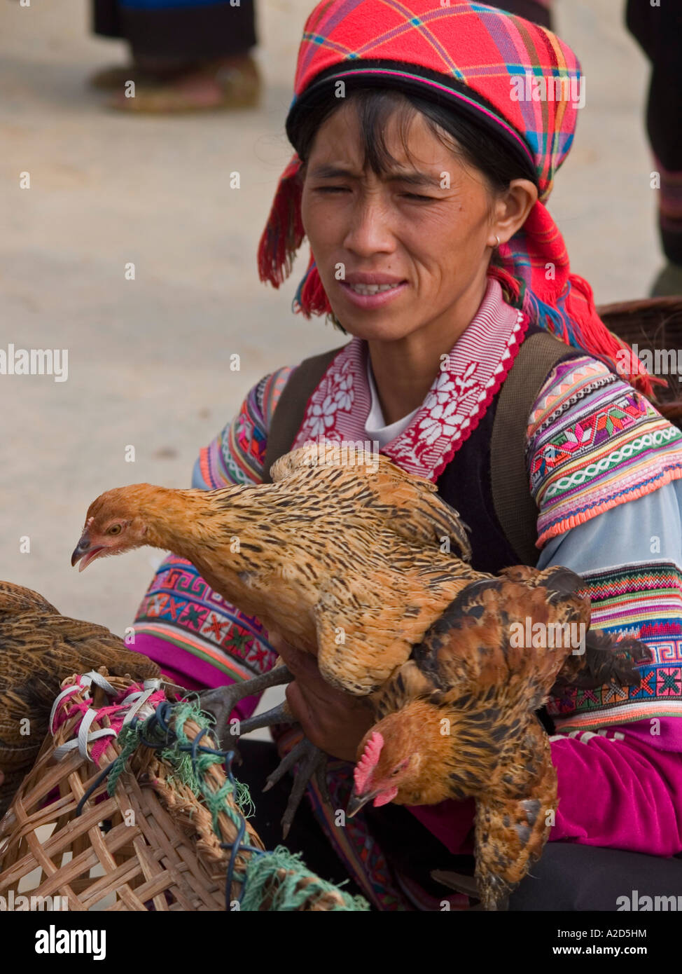 Hani chicken vendor Shalatou market China Stock Photo - Alamy