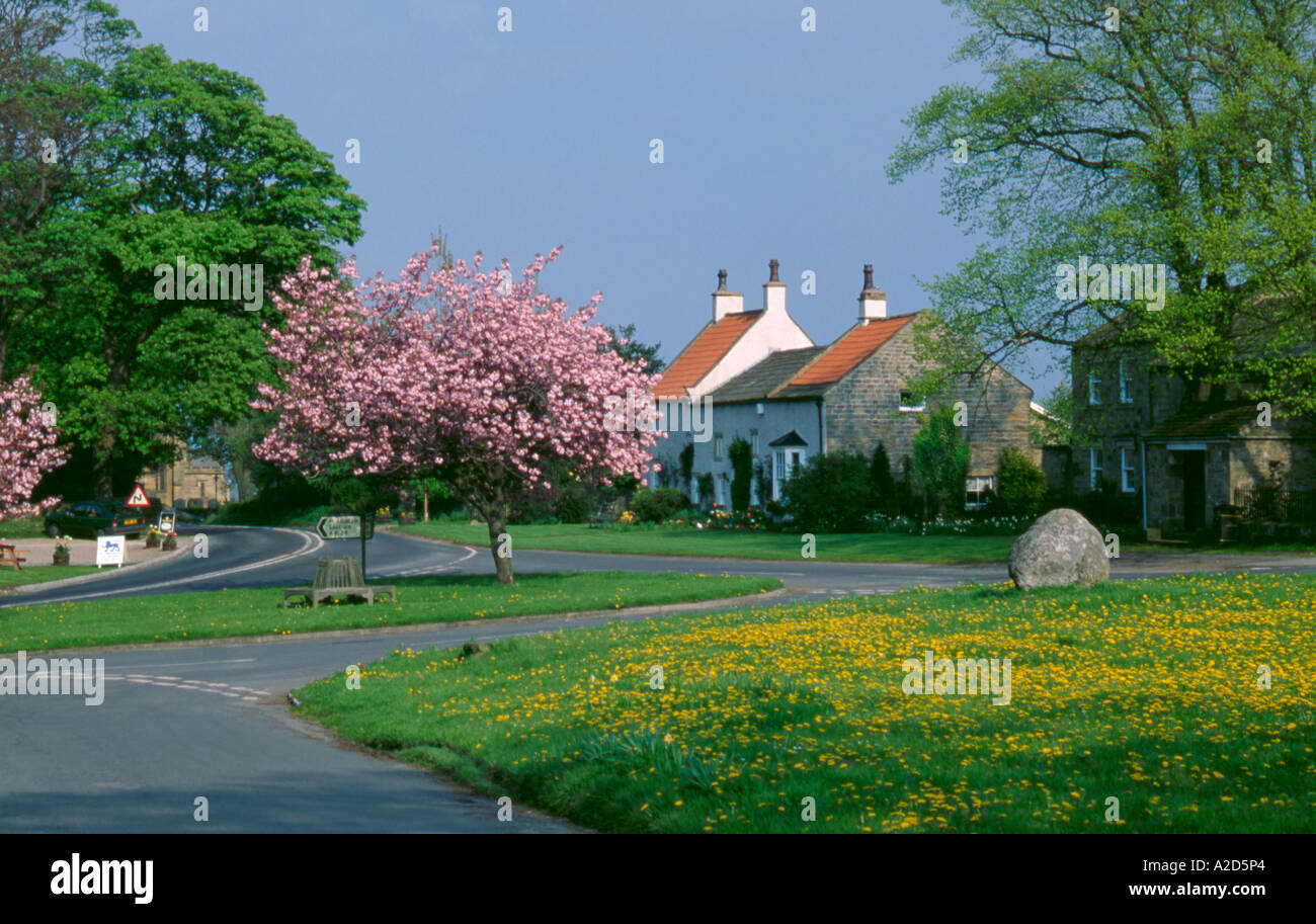 Stone cottages and village green, East Witton, Wensleydale, Yorkshire ...