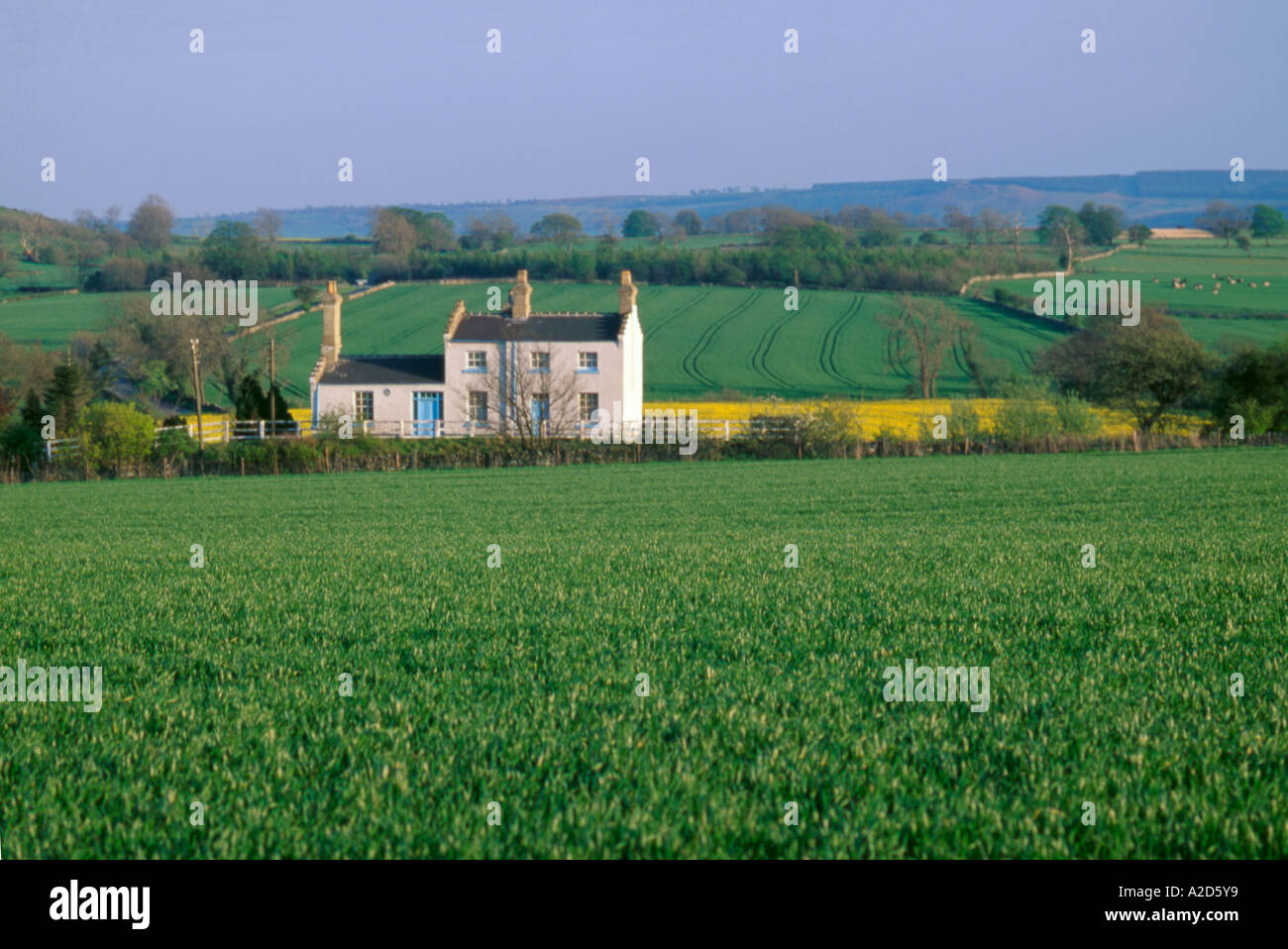 Uk england yorkshire leyburn market hi-res stock photography and images ...