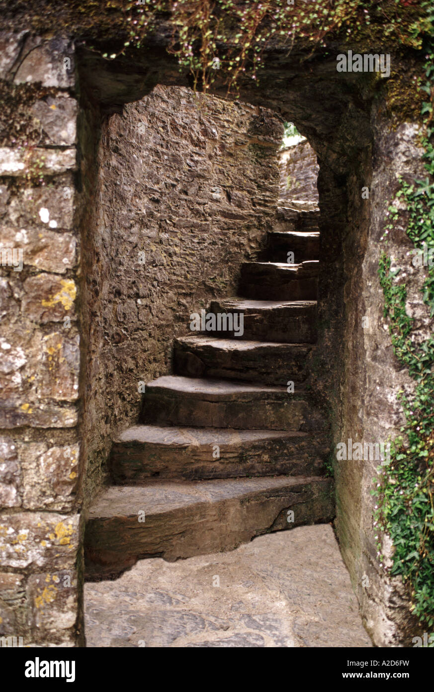 BERRY POMEROY CASTLE. DEVON. ENGLAND. UK Stock Photo - Alamy