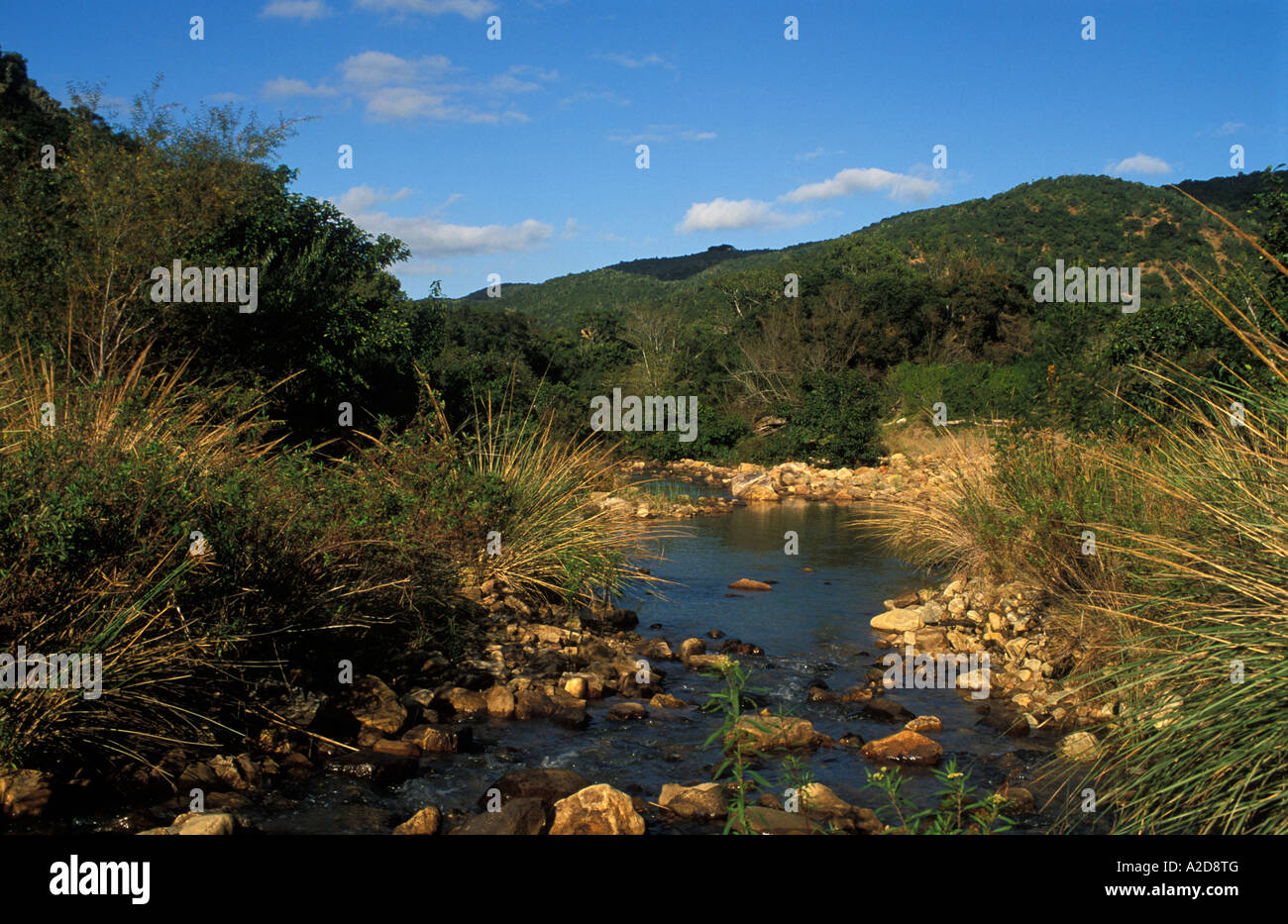 Wit river, Zuurberg Mountains, Greater Addo Elephant National Park ...