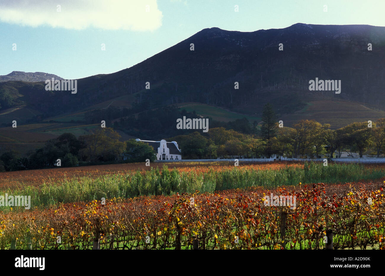 Groot Constantia, oldest vineyard estate bought by Simon van der Stell ...