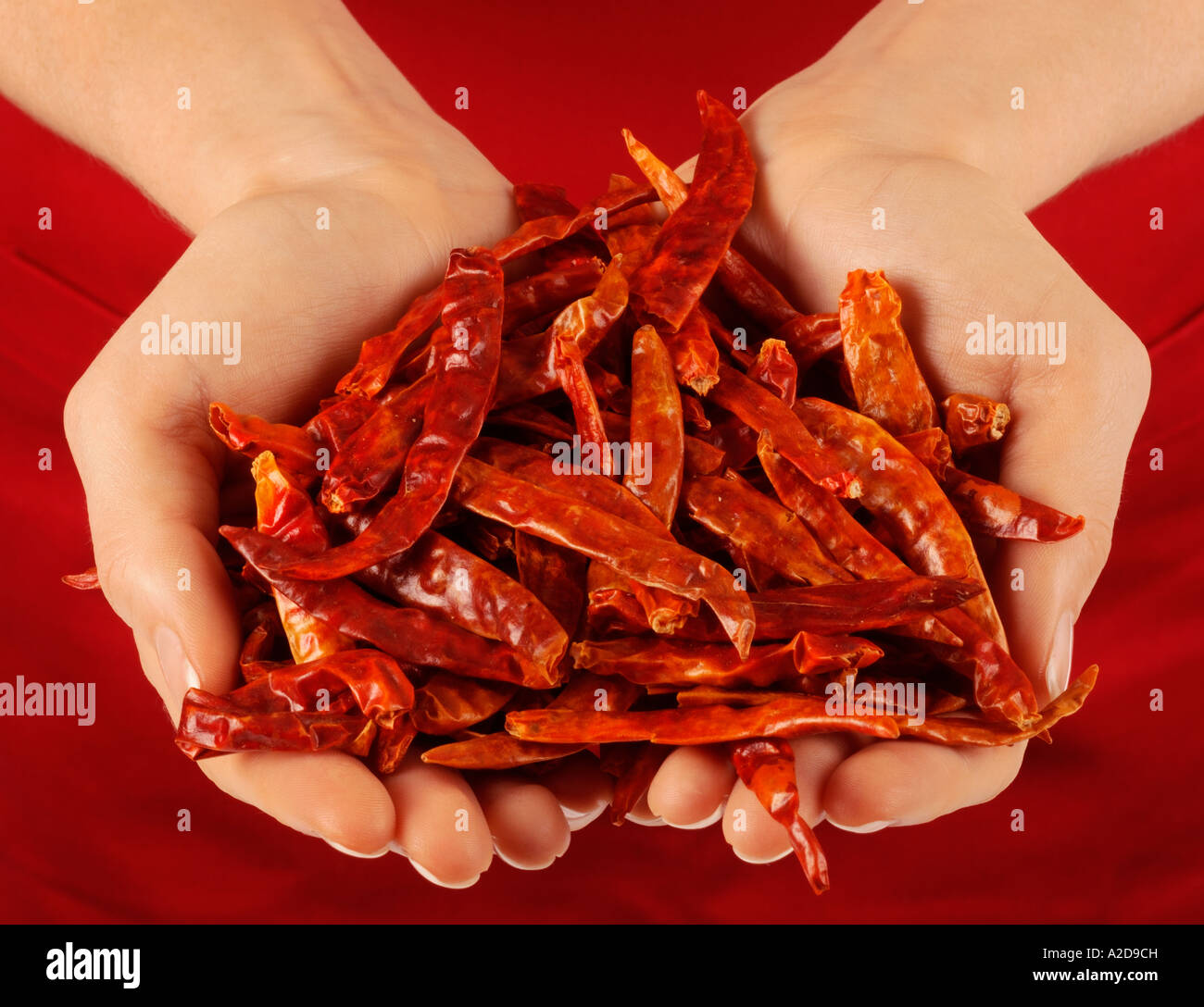 WOMAN HOLDING DRIED CHILLI Stock Photo - Alamy
