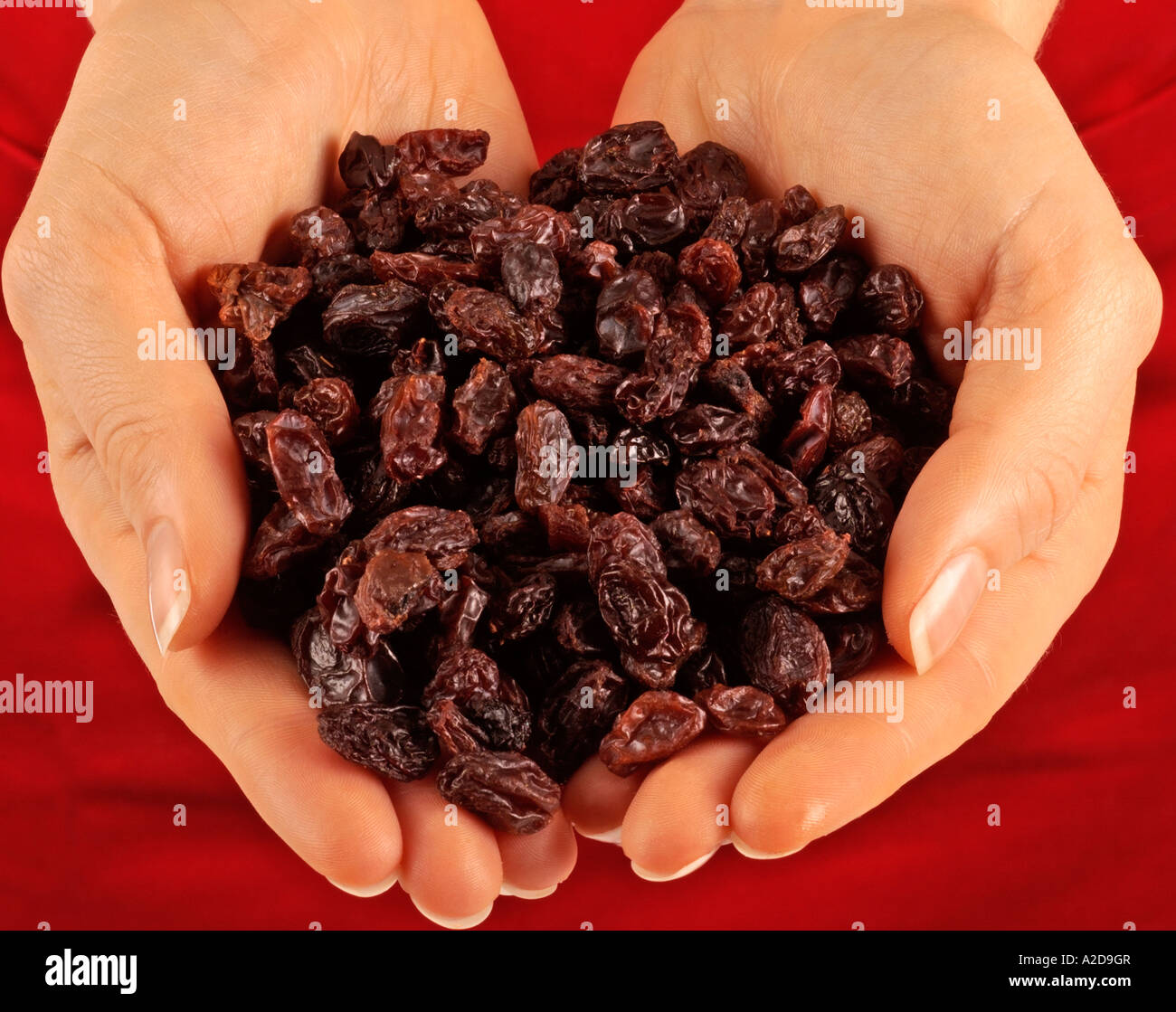 Cupped hands holding raisins hi-res stock photography and images - Alamy