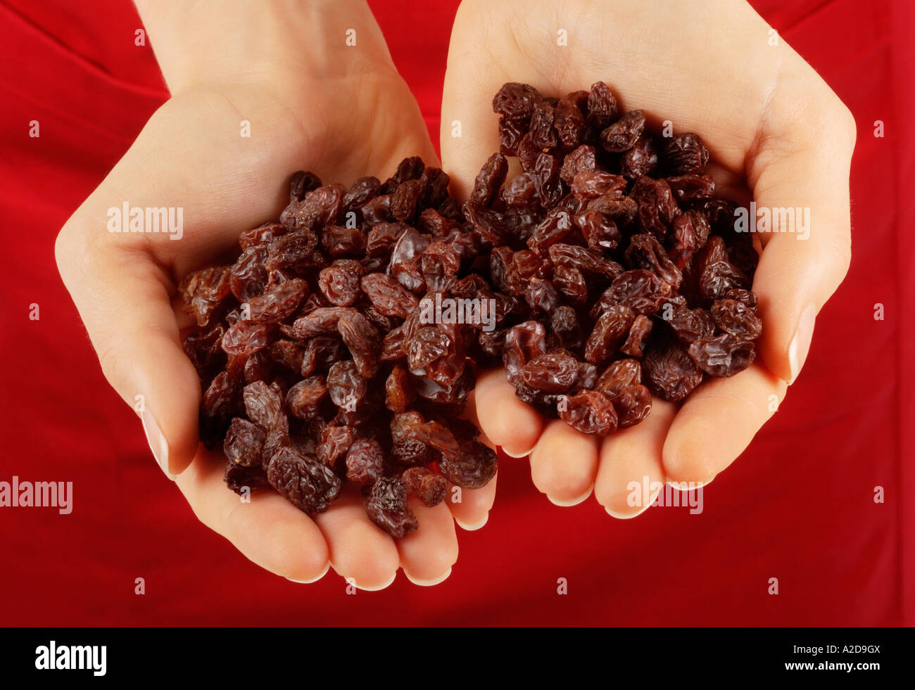 Cupped hands holding raisins hi-res stock photography and images - Alamy