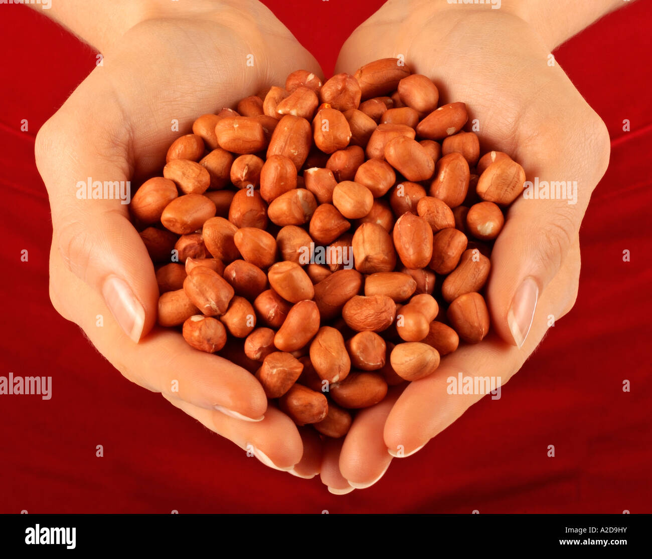 Holding peanut hi-res stock photography and images - Alamy