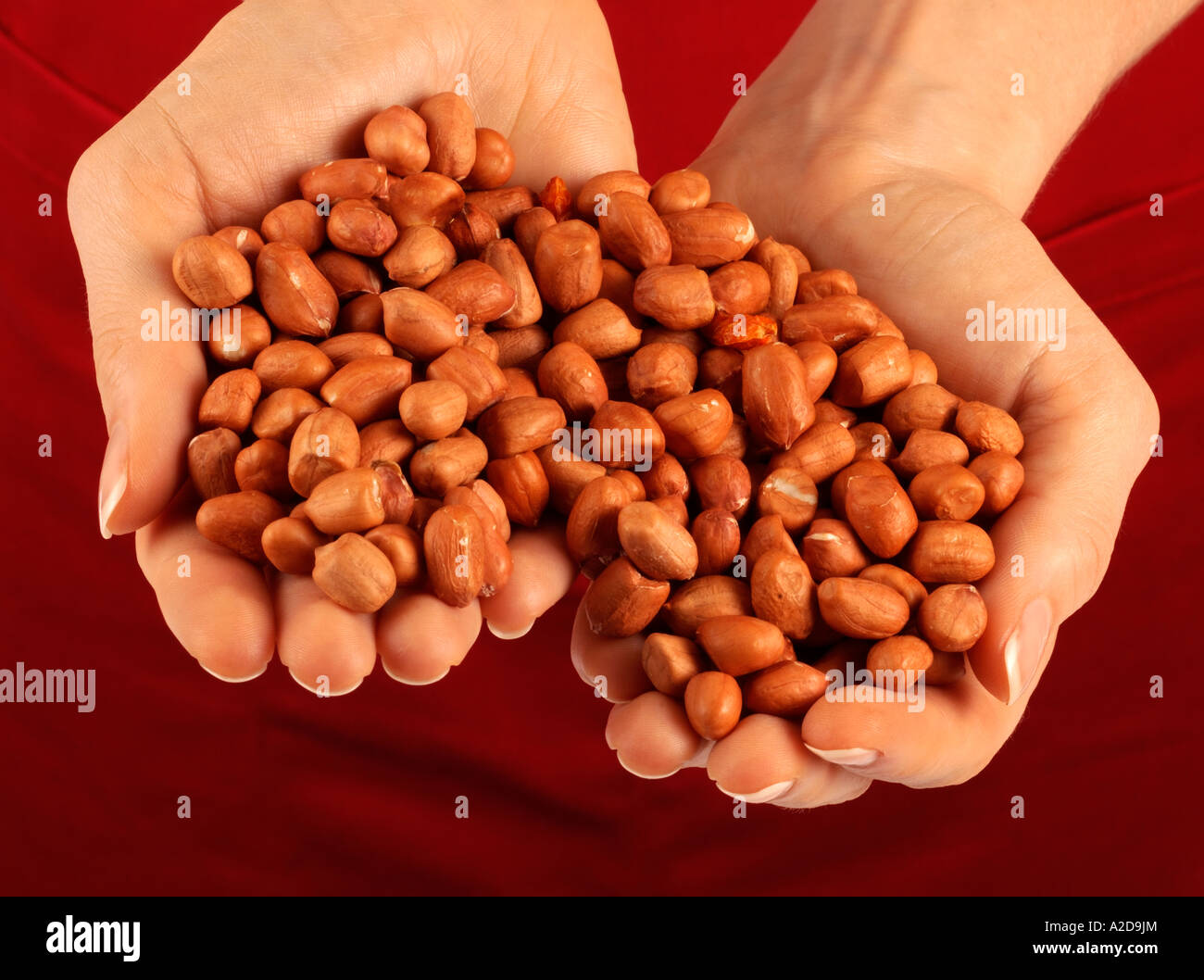 WOMAN HOLDING PEANUT KERNELS Stock Photo - Alamy