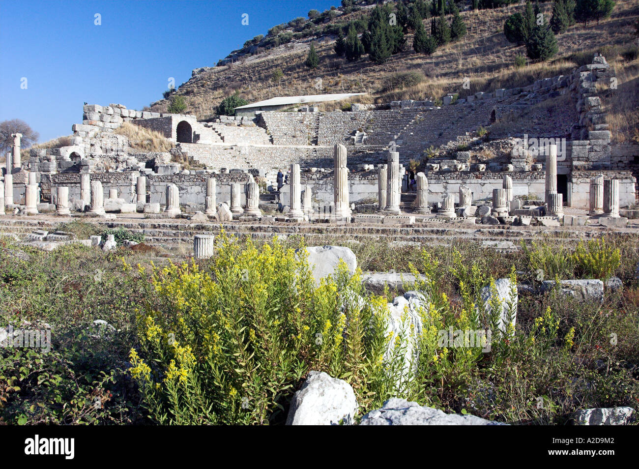 The Odeion Theater or Concert Hall in the ruins of Ephesus Turkey Stock ...