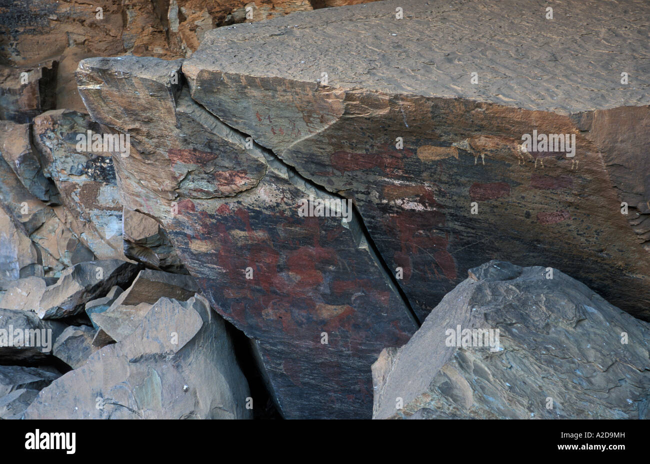San rock art bushman painting Giant's Castle Main cave Ukhahlamba ...