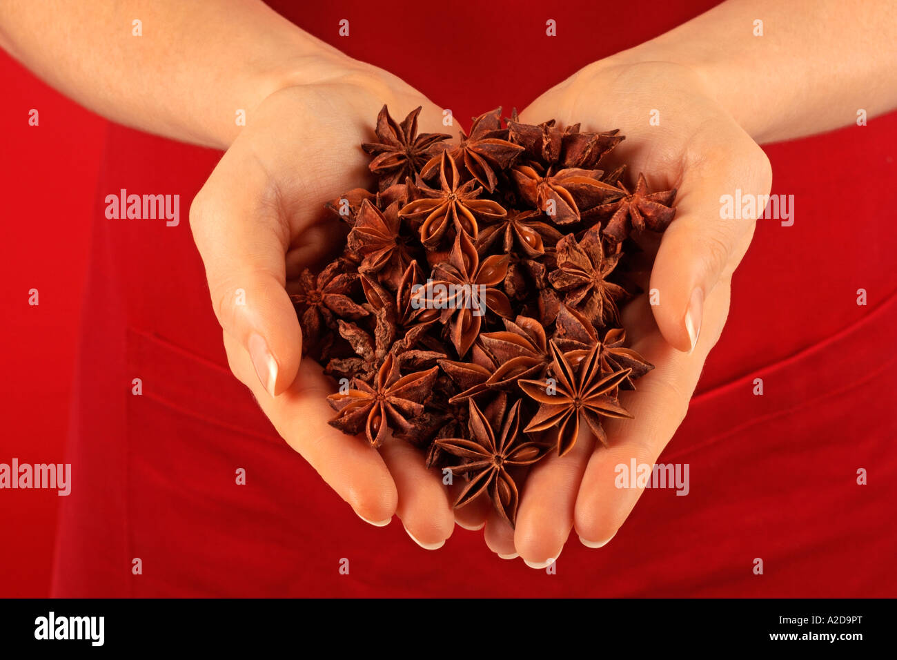 HANDFUL OF STAR ANISE Stock Photo - Alamy