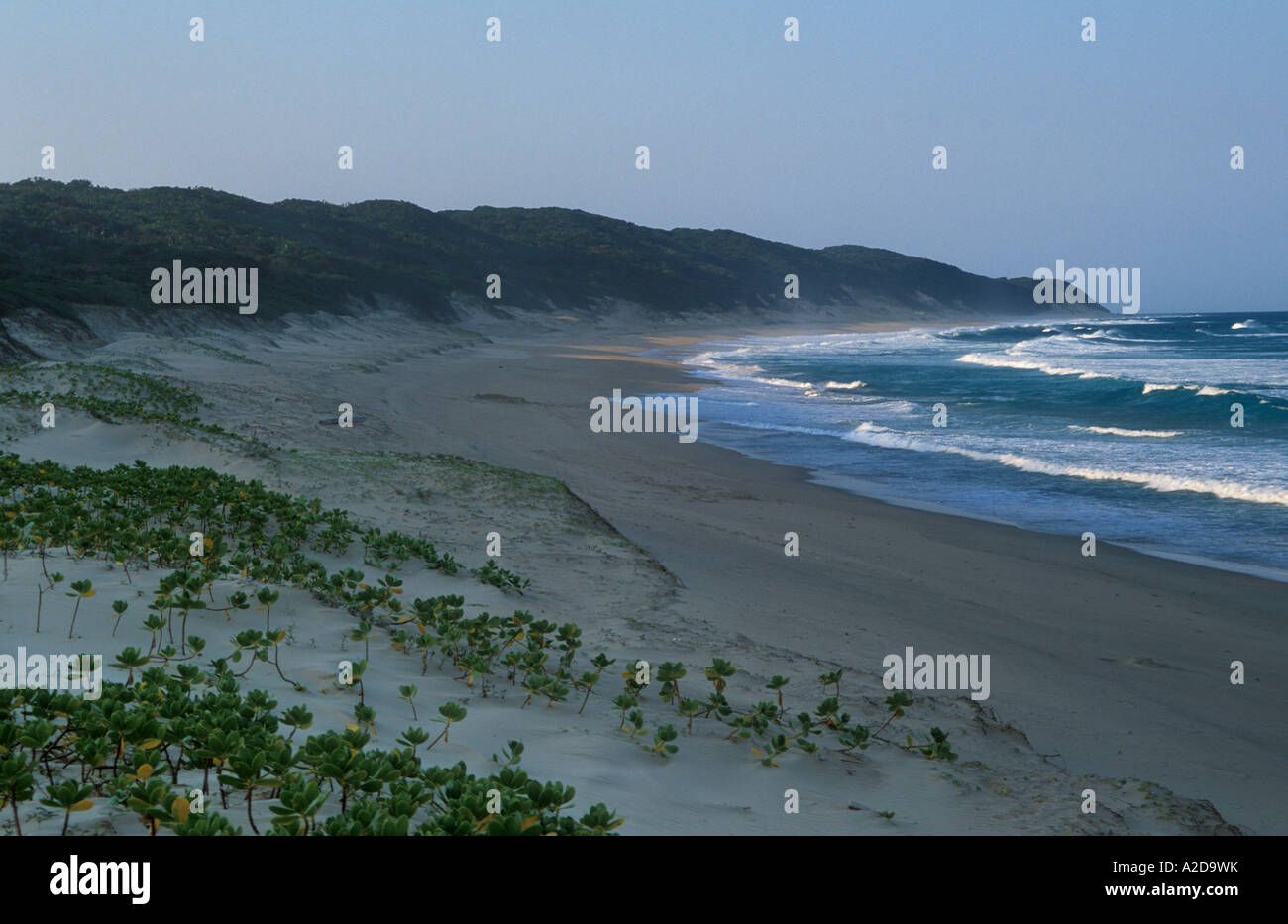 Rocktail beach south africa hi-res stock photography and images - Alamy