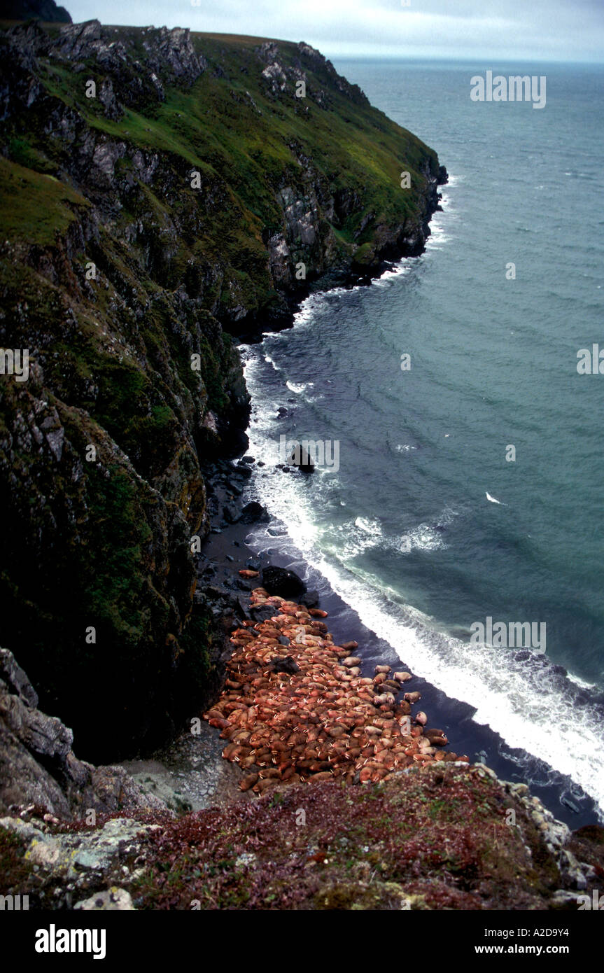 Firebaugh hi-res stock photography and images - Alamy