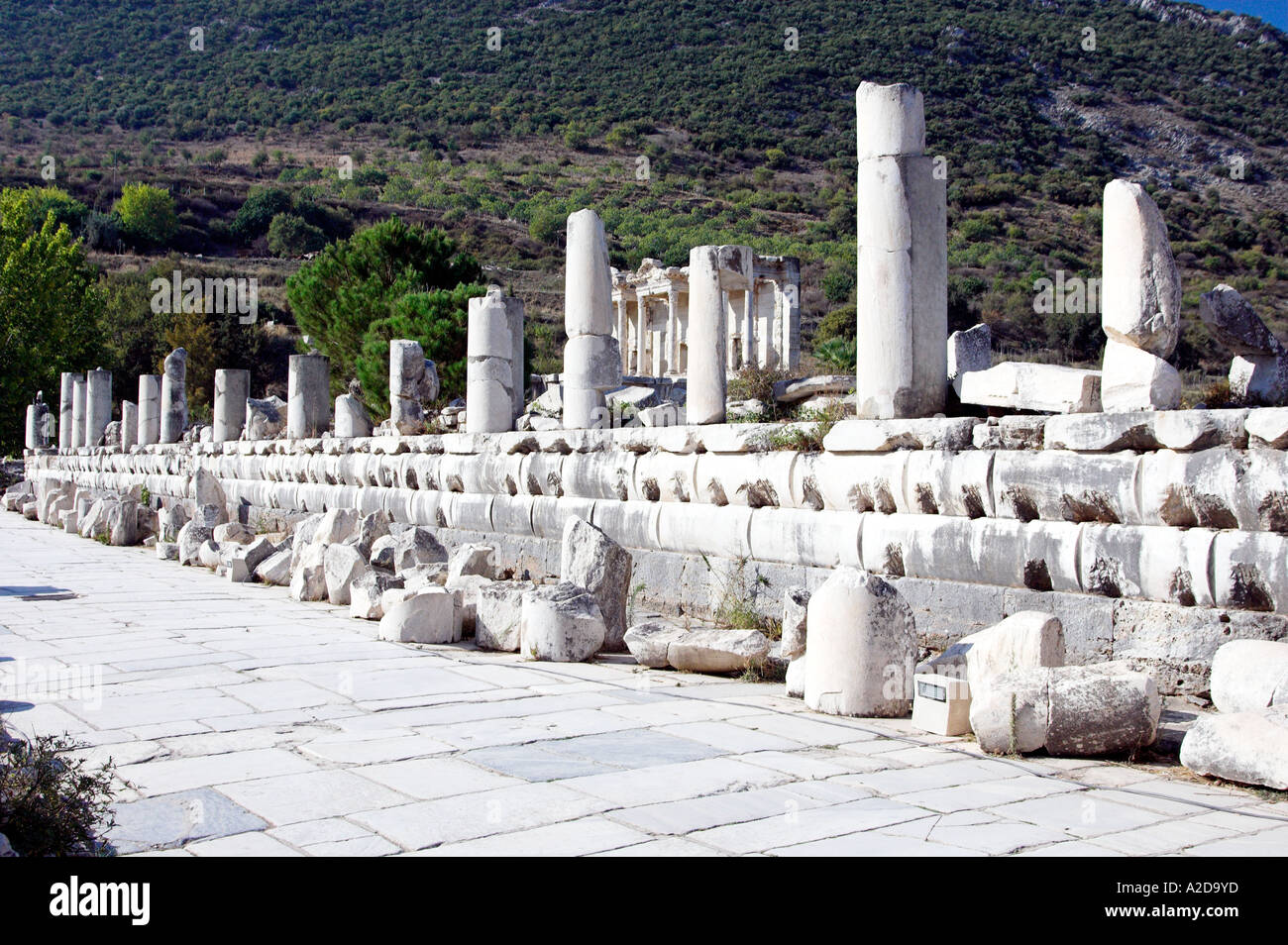 Marble Street or the Sacred Way in the ruins of Ephesus Turkey Stock ...