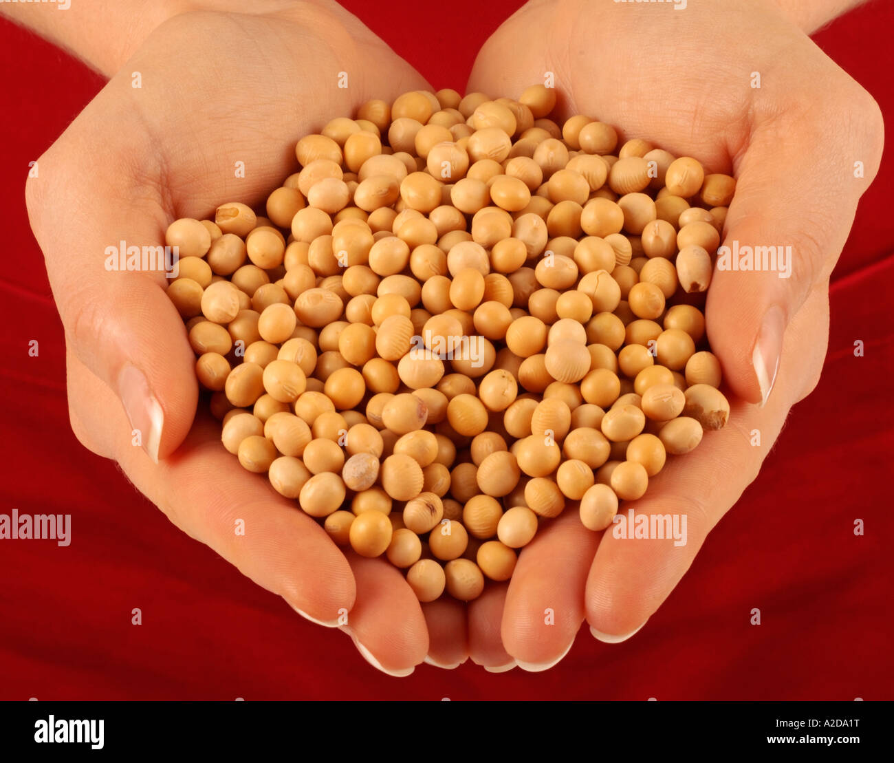 Benas hi-res stock photography and images - Alamy