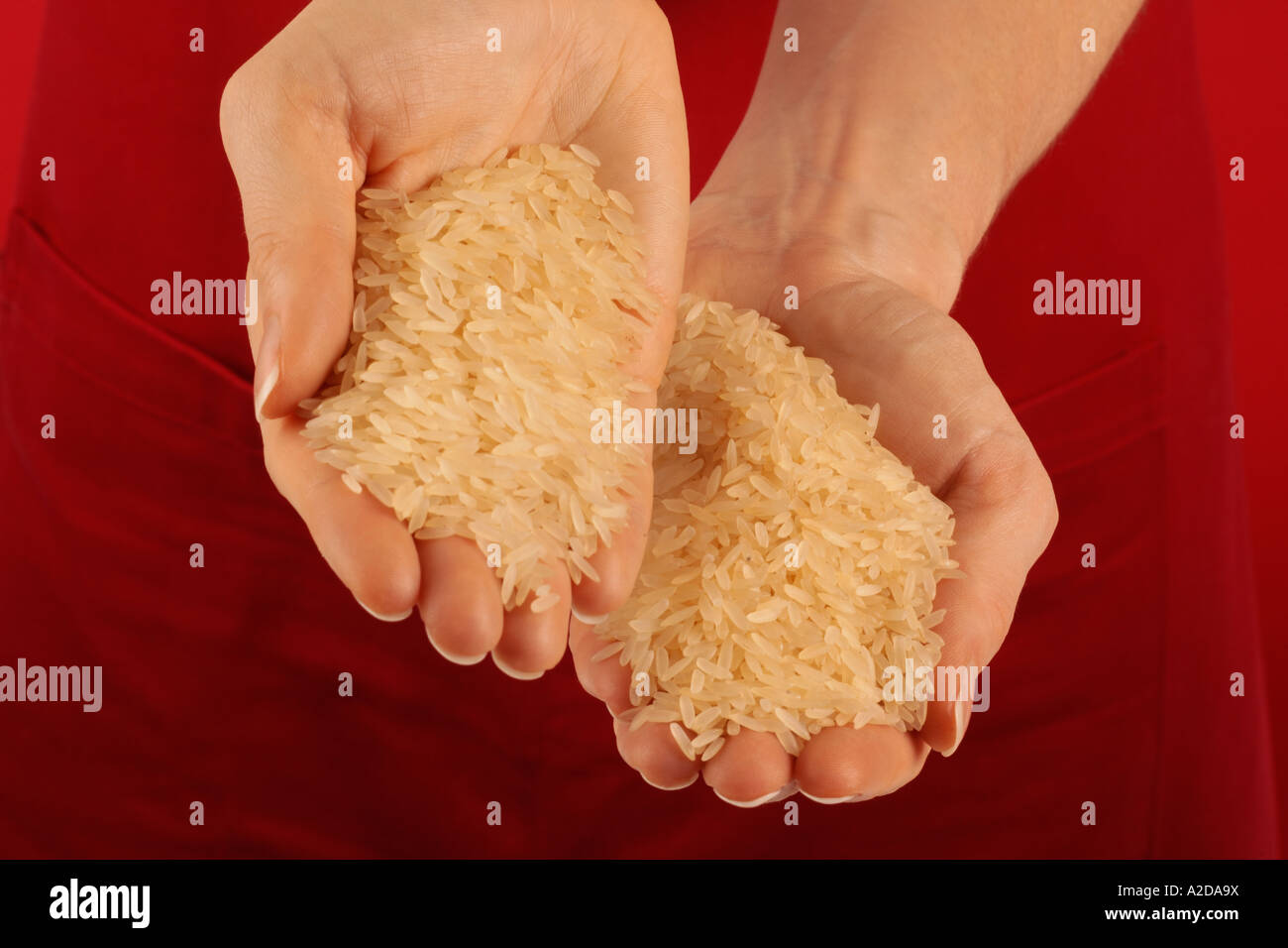 Hands white long grain rice hi-res stock photography and images - Alamy