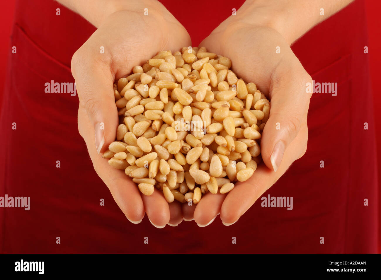 Indian pine nuts hi-res stock photography and images - Alamy