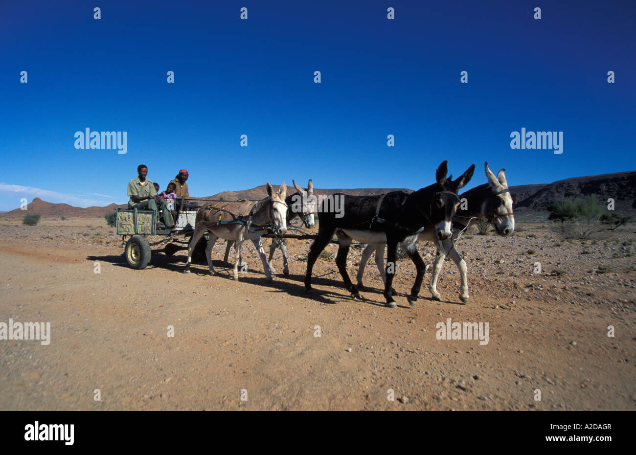 Donkey cart transport hi-res stock photography and images - Alamy