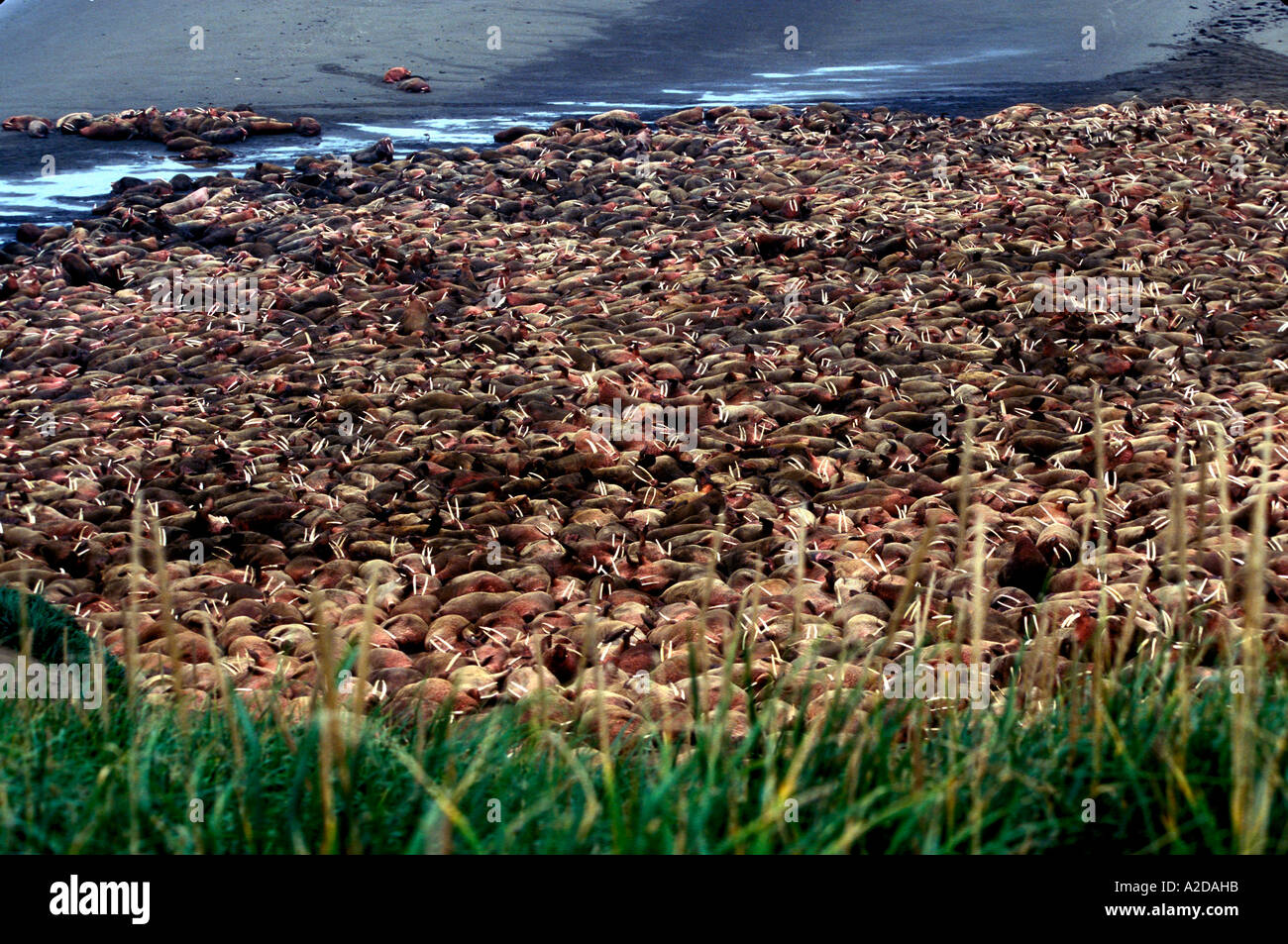 Msl group hi-res stock photography and images - Alamy