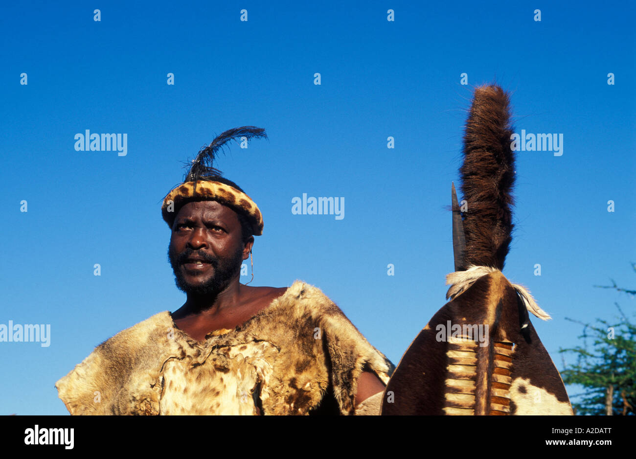 Zulu chief tribe africa hi-res stock photography and images - Alamy