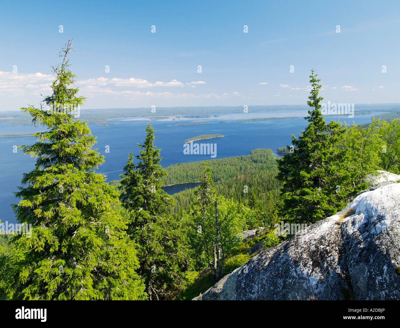 Koli mountain national park Stock Photo - Alamy