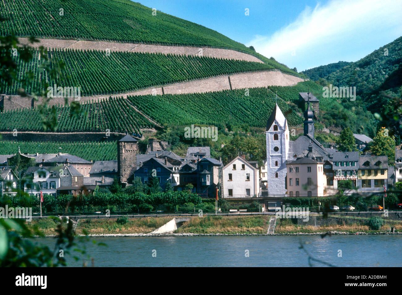 Vineyards and villages of the wine region and the Rhine River deep in ...