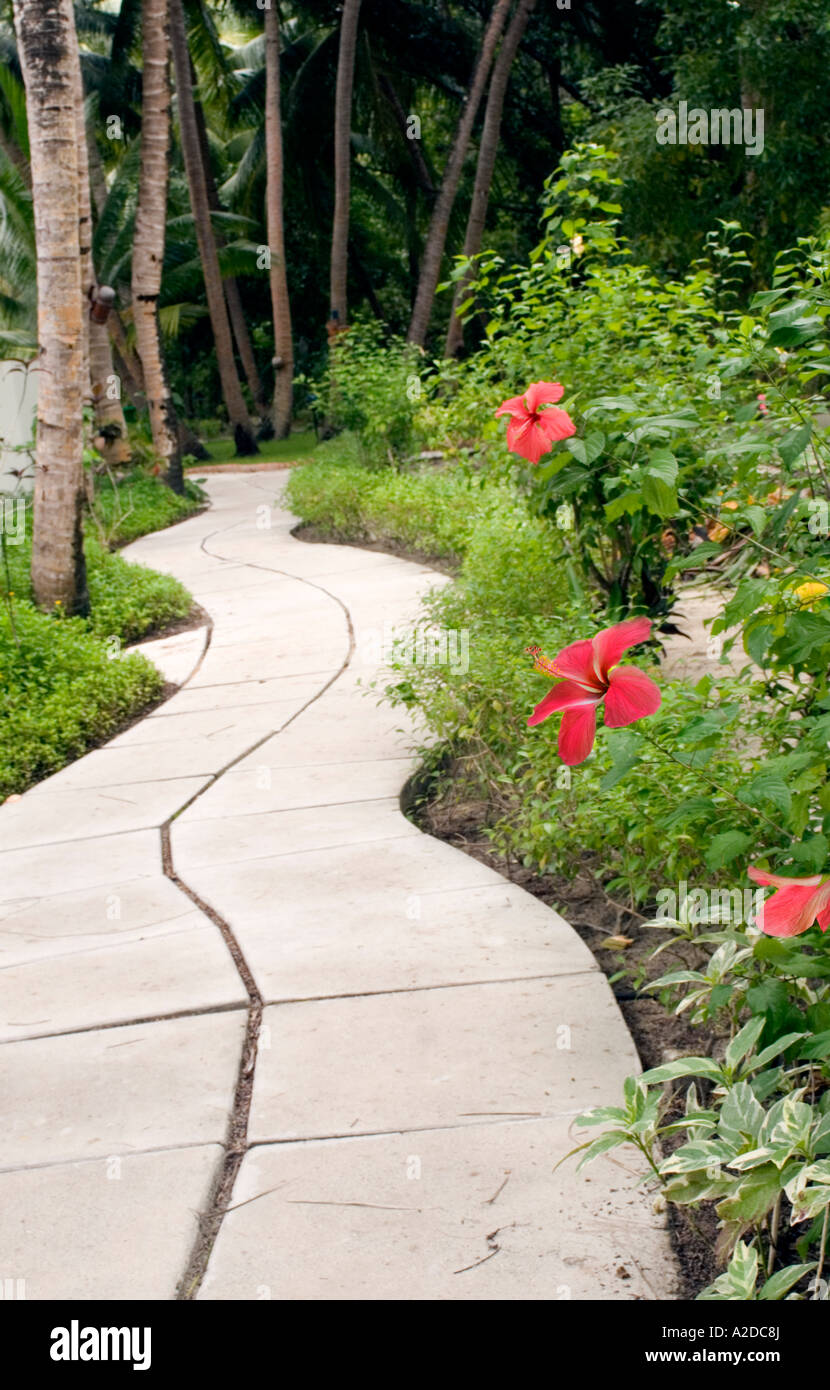 path holiday island Maldives Stock Photo - Alamy
