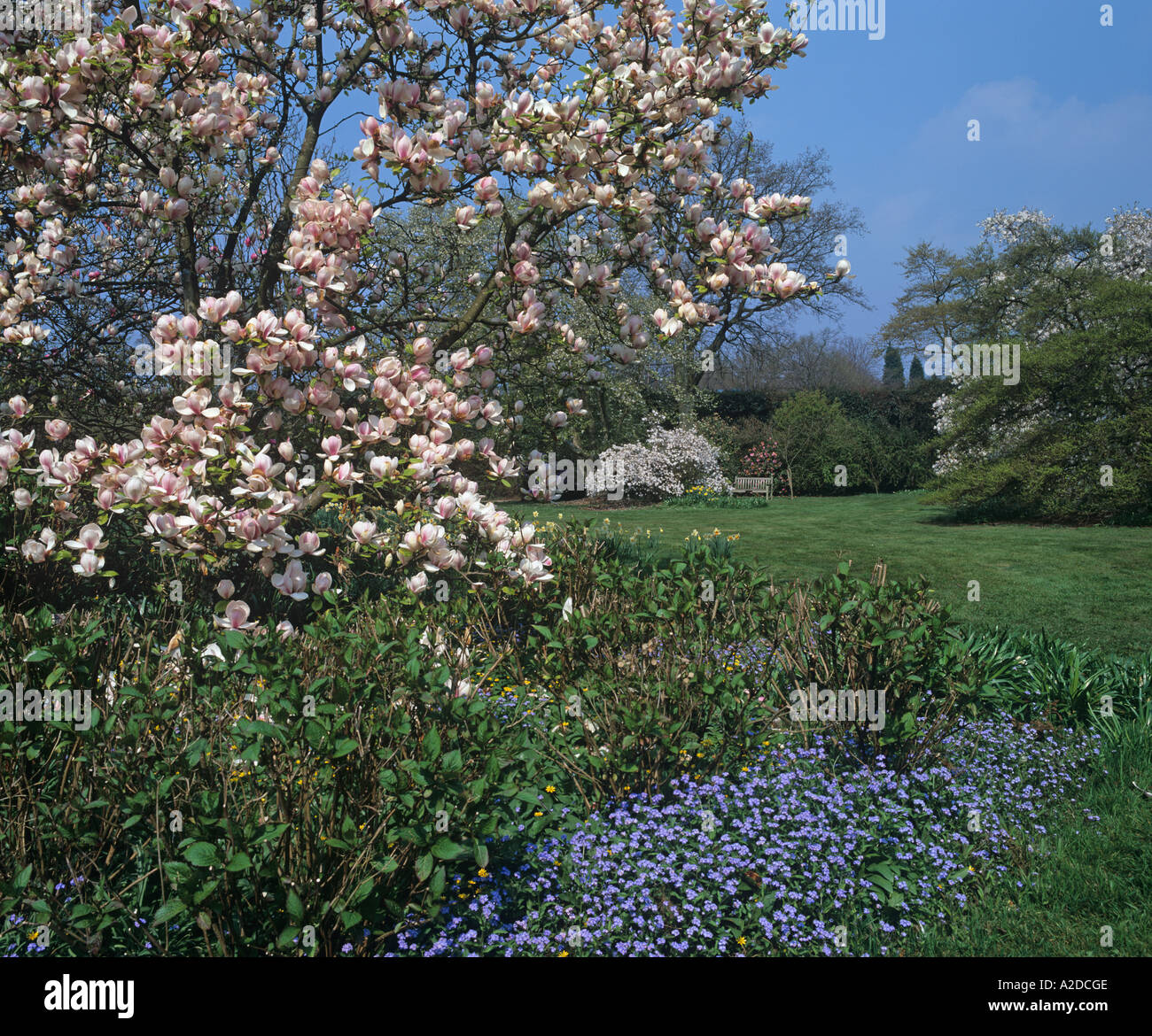 Spring Garden Sussex Weald UK Spring Stock Photo - Alamy