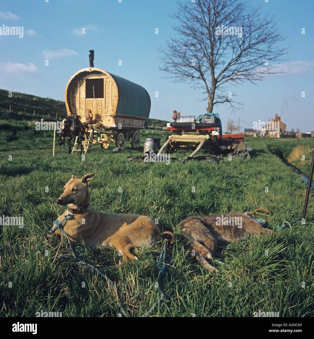 Gypsy camping hi-res stock photography and images - Alamy