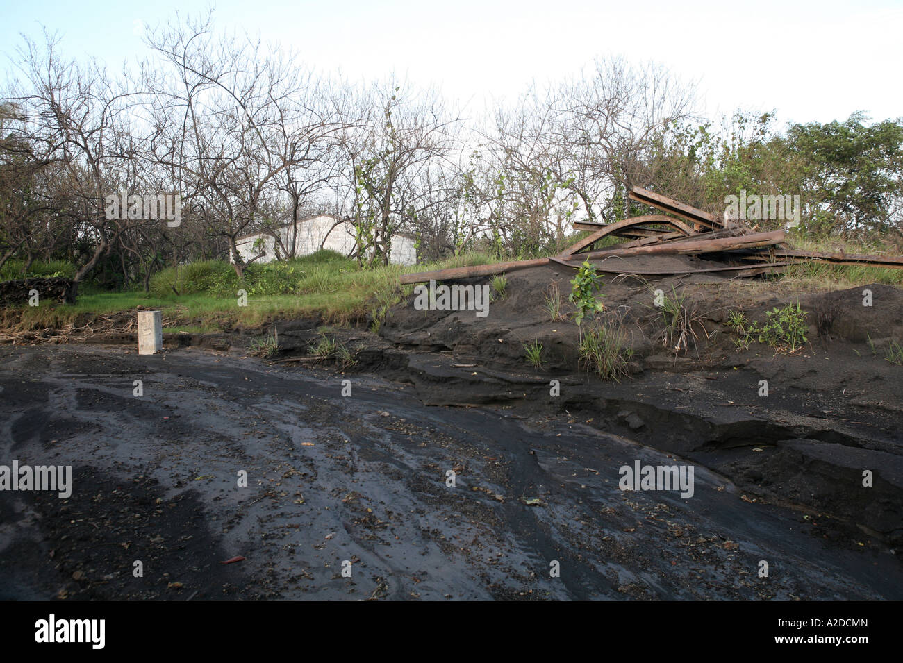 Damage caused by the 1994 eruption of Mt Tuvurvur, Rabaul, East New ...