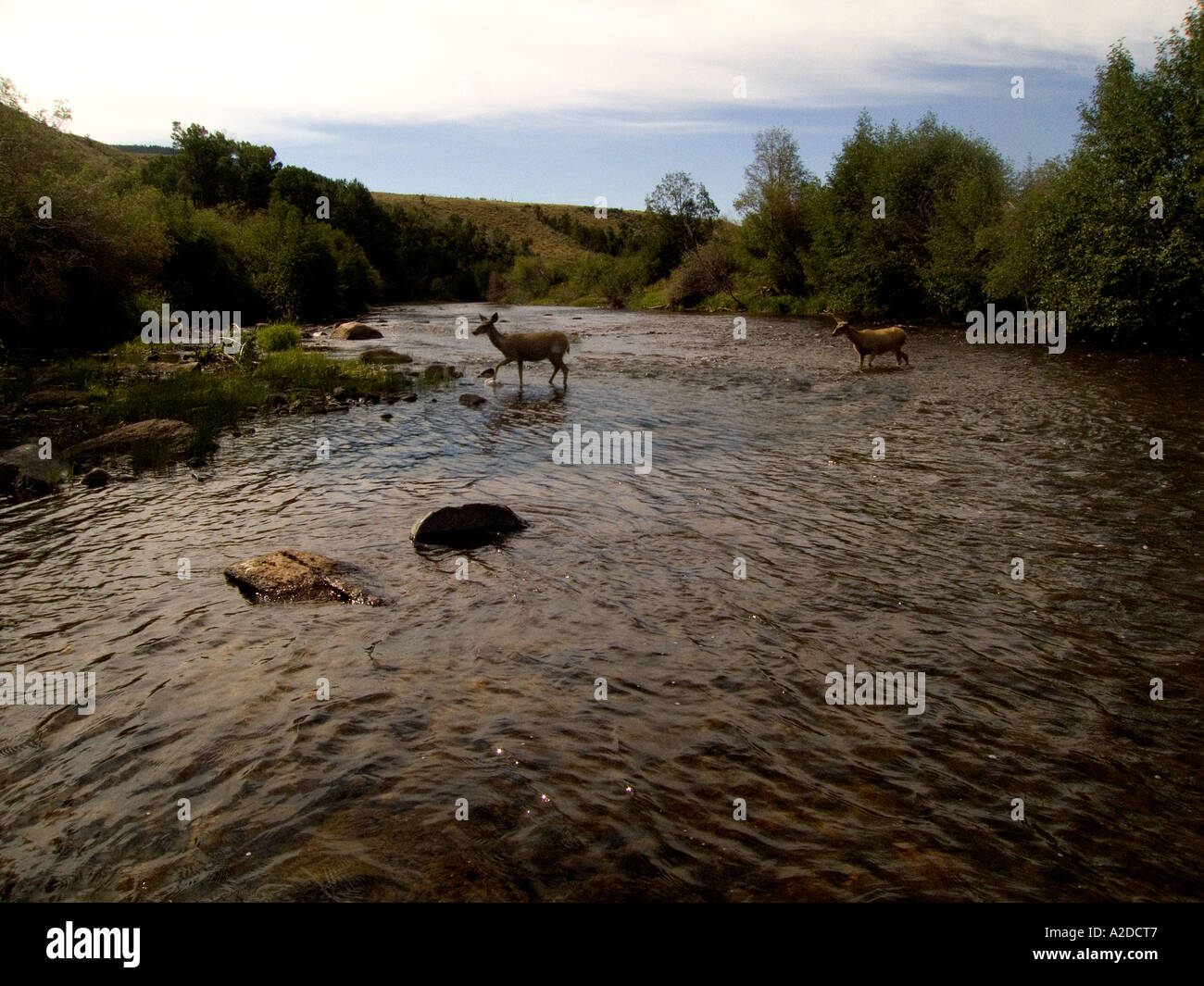 Laramie river hi-res stock photography and images - Alamy