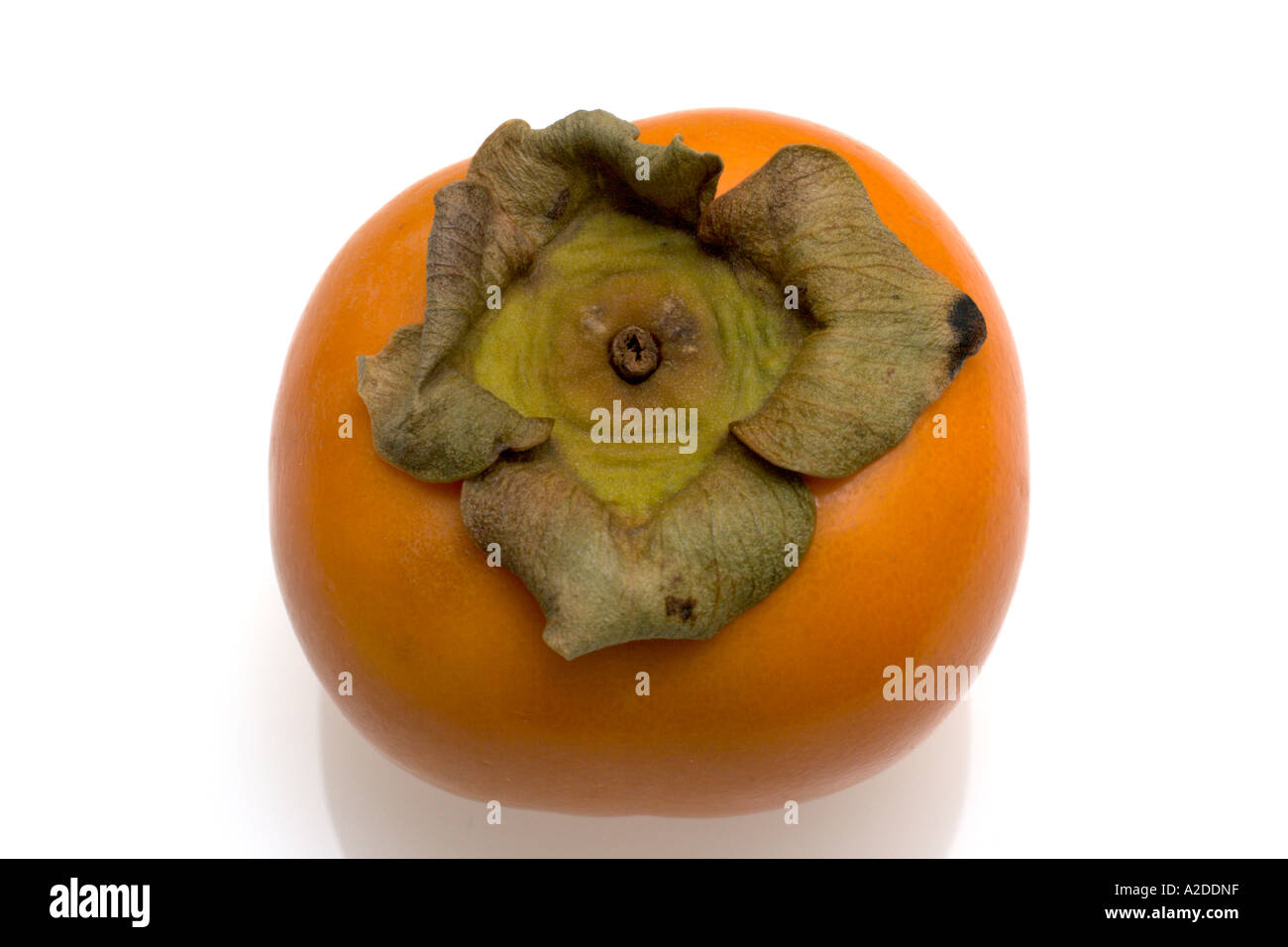 Sharon fruit studio hi-res stock photography and images - Alamy