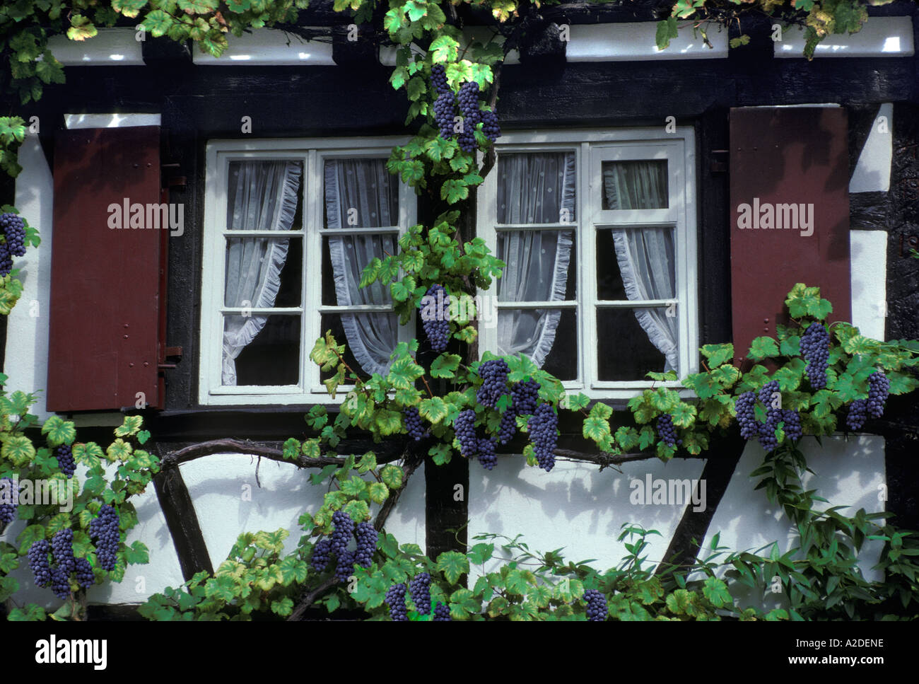 Cozy European windows - architectural detail Stock Photo - Alamy