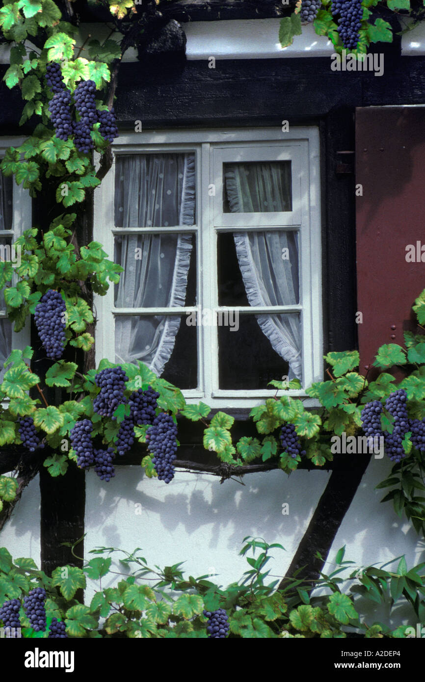 Clusters of horizontal windows hi-res stock photography and images - Alamy