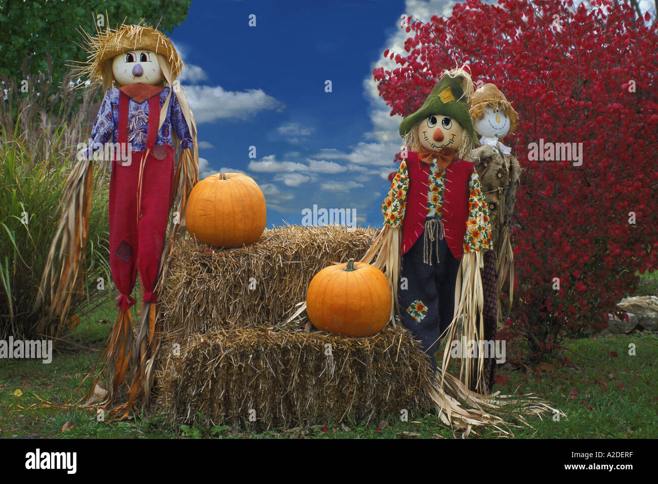 Creative scarecrows hi-res stock photography and images - Alamy