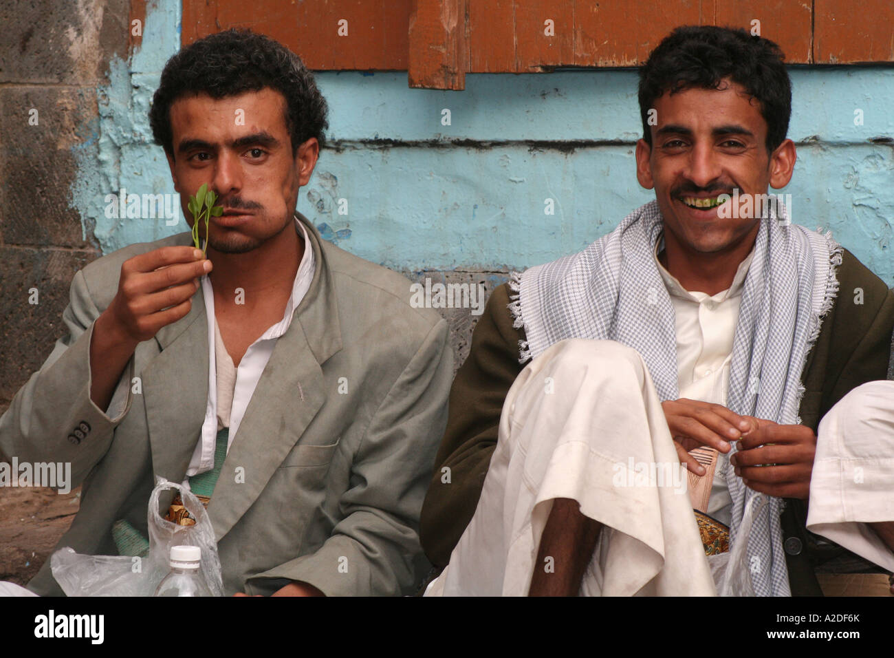 Southern arabian khat hi-res stock photography and images - Alamy