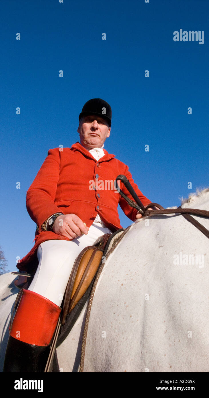 A fox hunting master mounted on a grey horse set against a bright blue ...