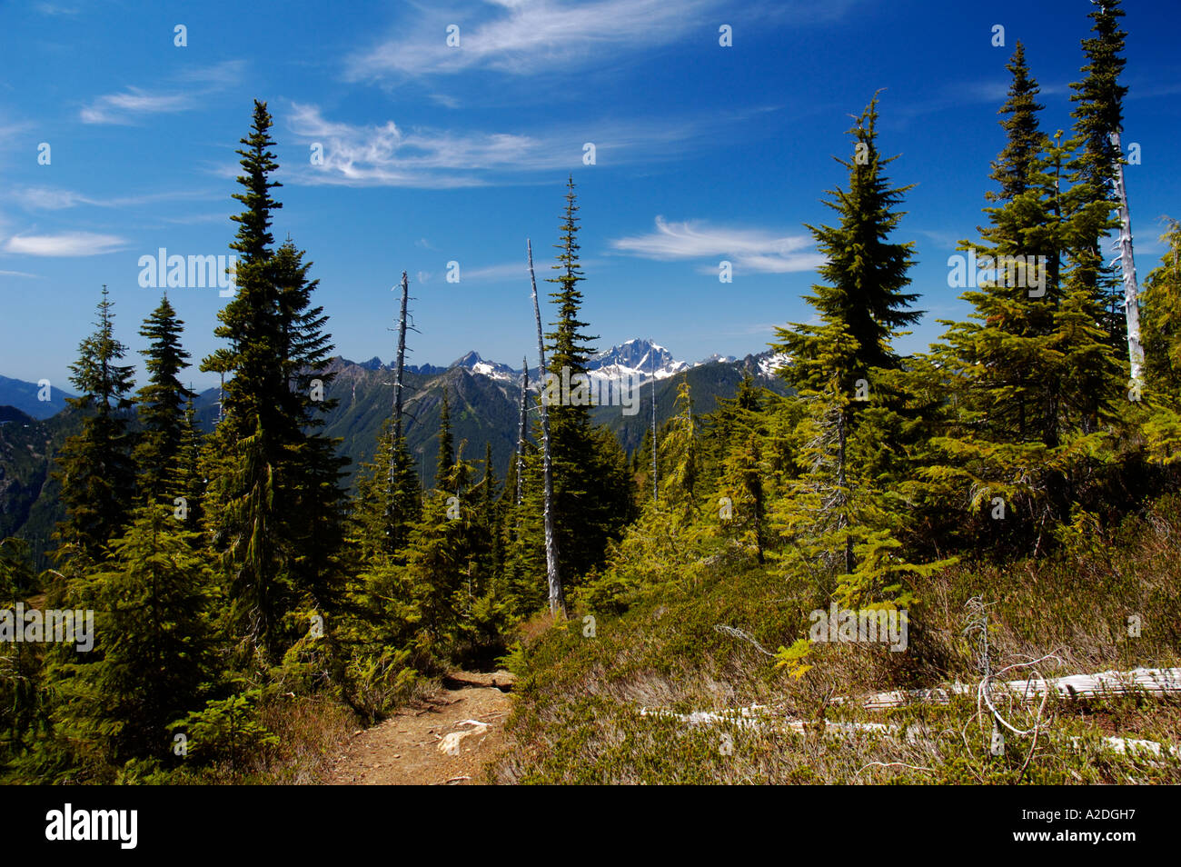 Mt dickerman trail hi-res stock photography and images - Alamy