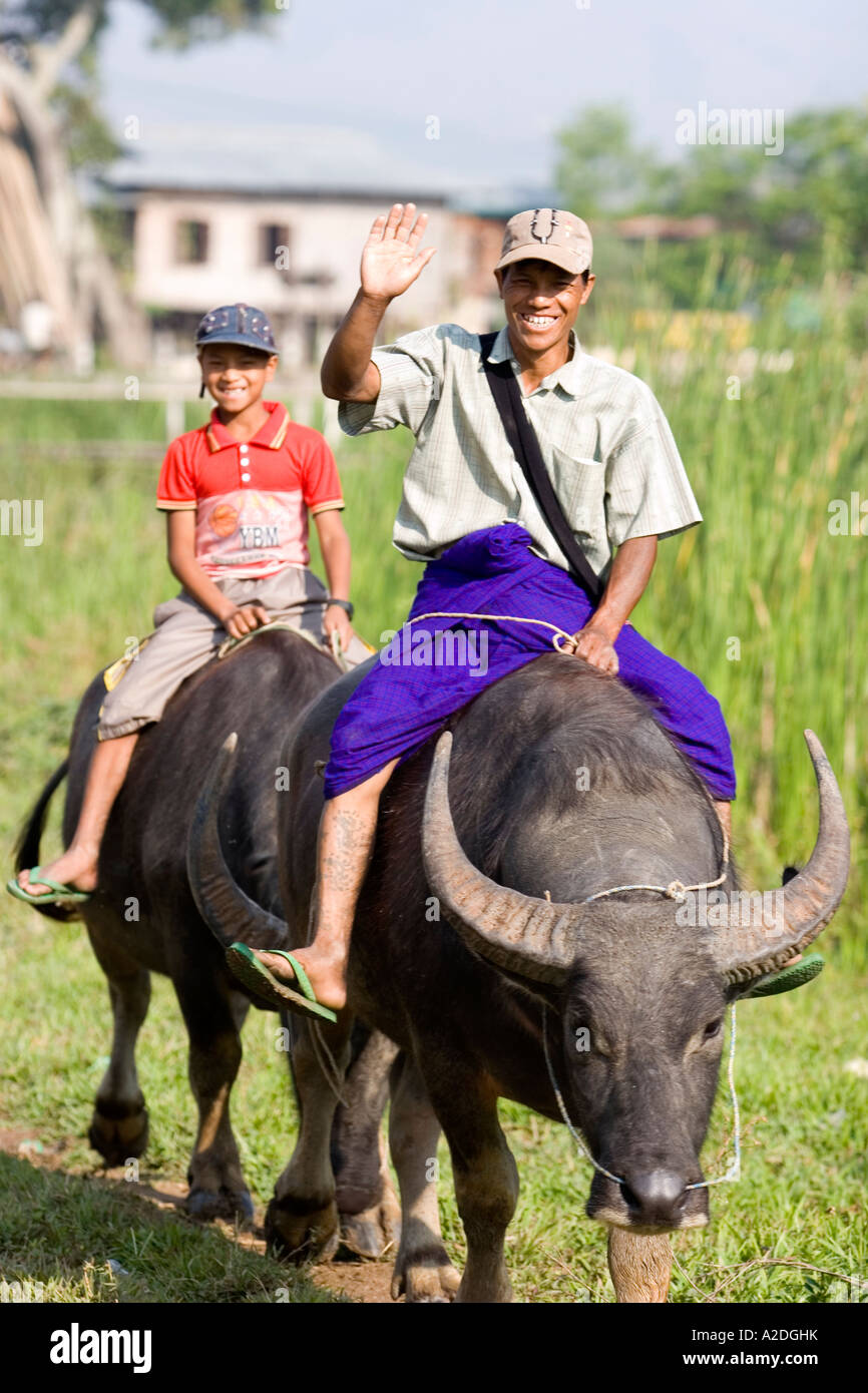 A farmer and his son ride their water buffalo Stock Photo - Alamy