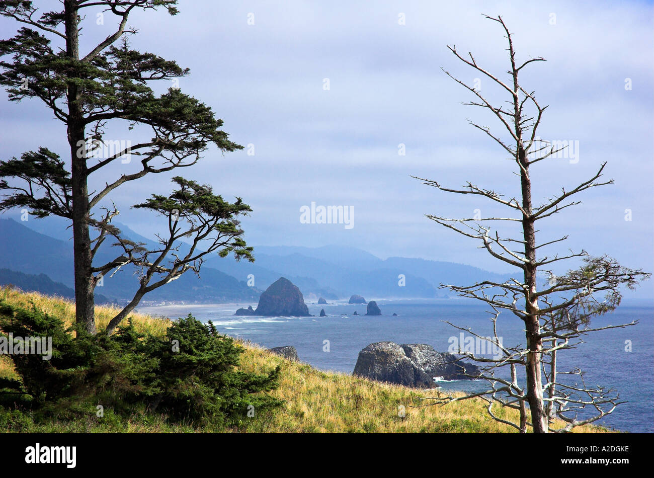 Ecola State Park, Oregon USA Stock Photo - Alamy