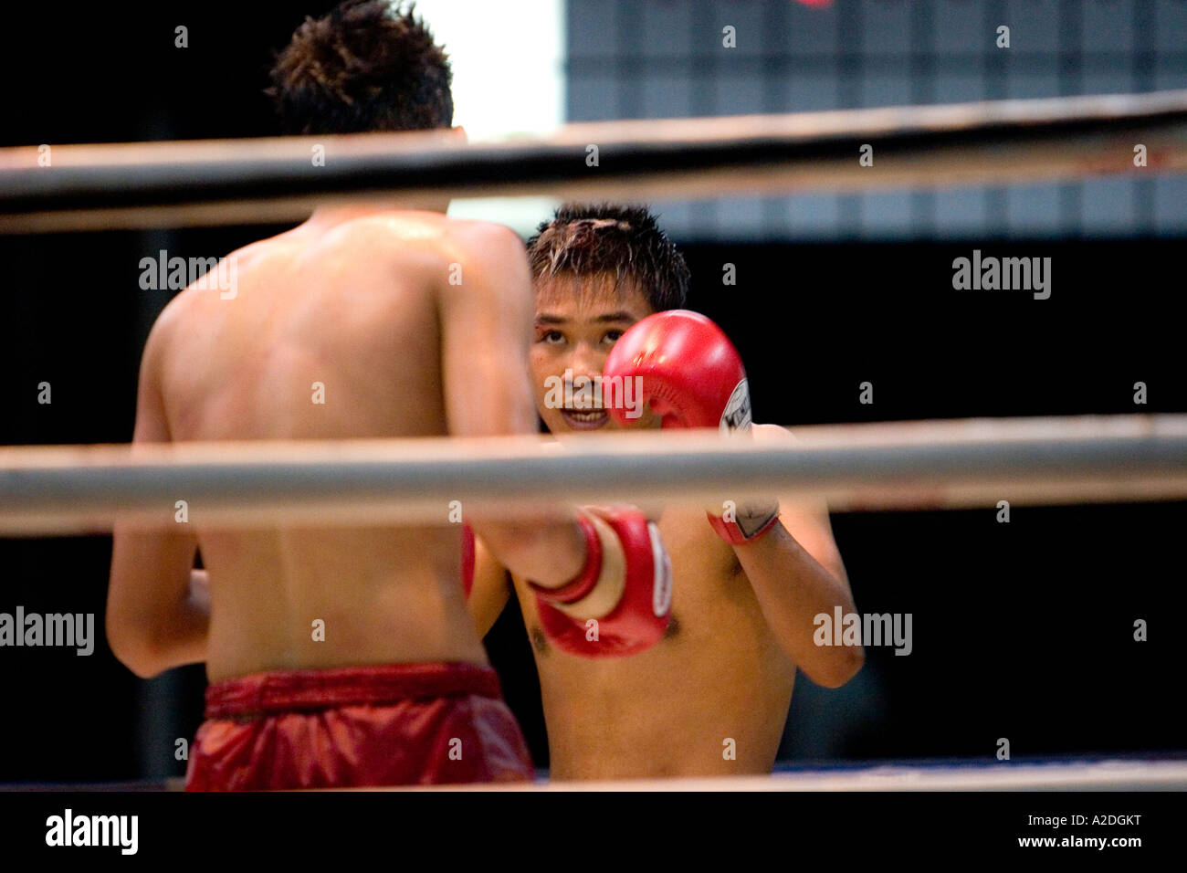 Thai boxers square up Stock Photo - Alamy